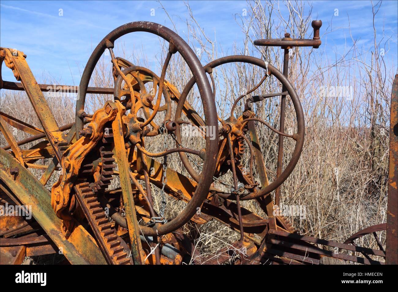 Forgotten fields horses - gulucitizen