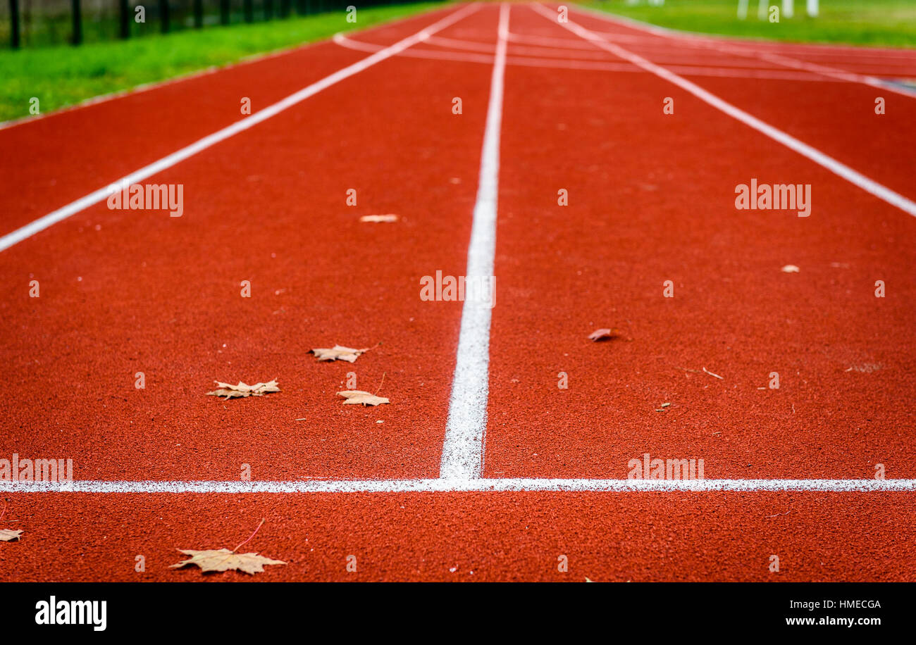 Maple leafs on athletic running track in stadium. A new run track or ...