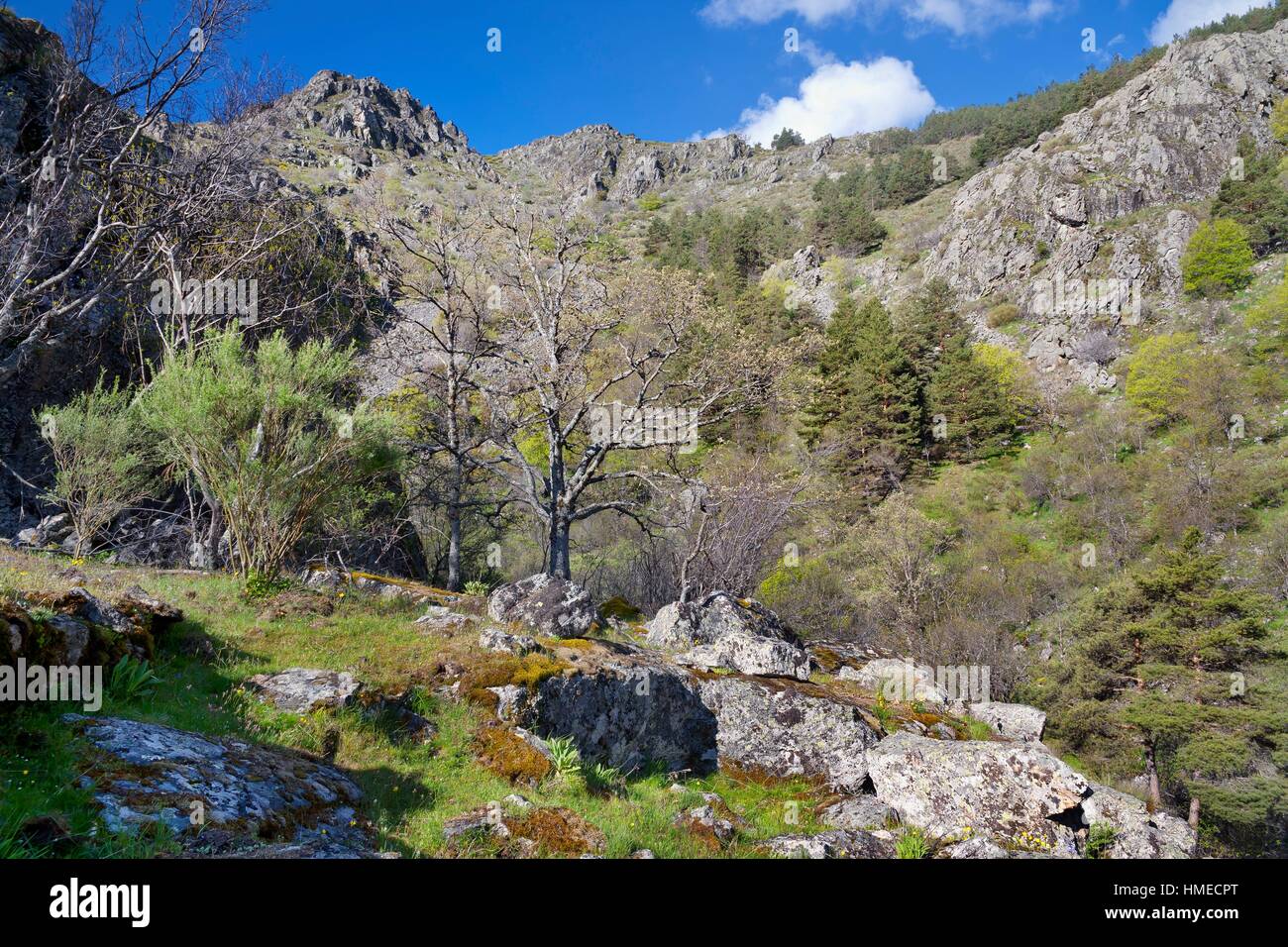 Purgatorio cliffs in the Sierra de la Morcuera. Rascafria. Madrid ...