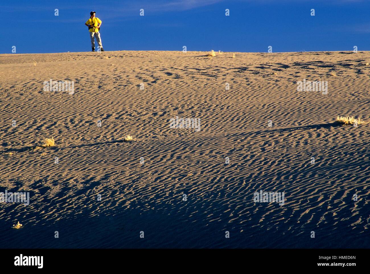 Oregon dunes recreational area hi-res stock photography and images - Alamy