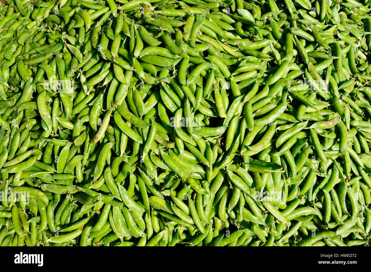 Indian Colorfully Vegetable. Green Pea Stock Photo - Alamy