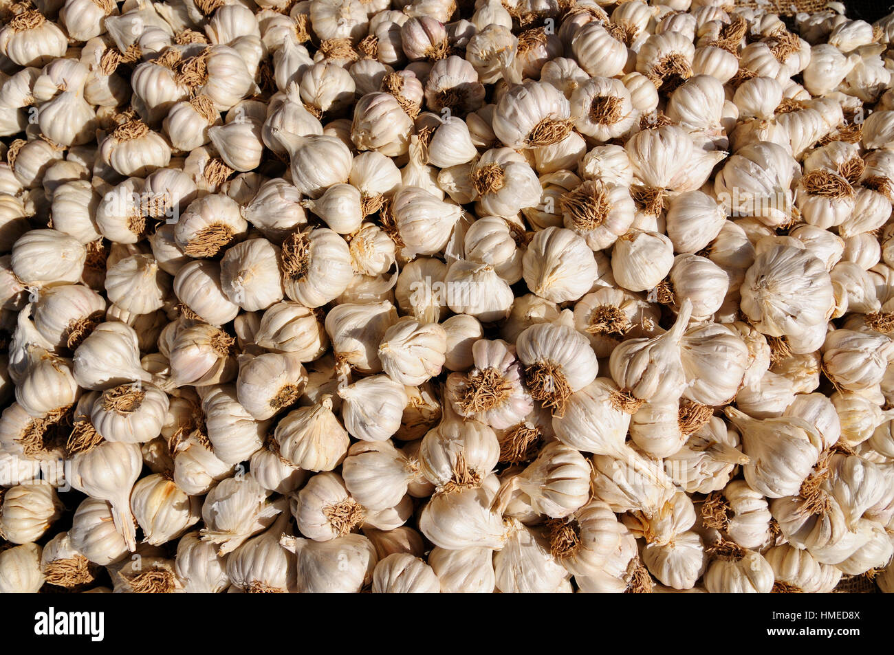 Indian Colorfully Vegetable. Garlic Stock Photo - Alamy