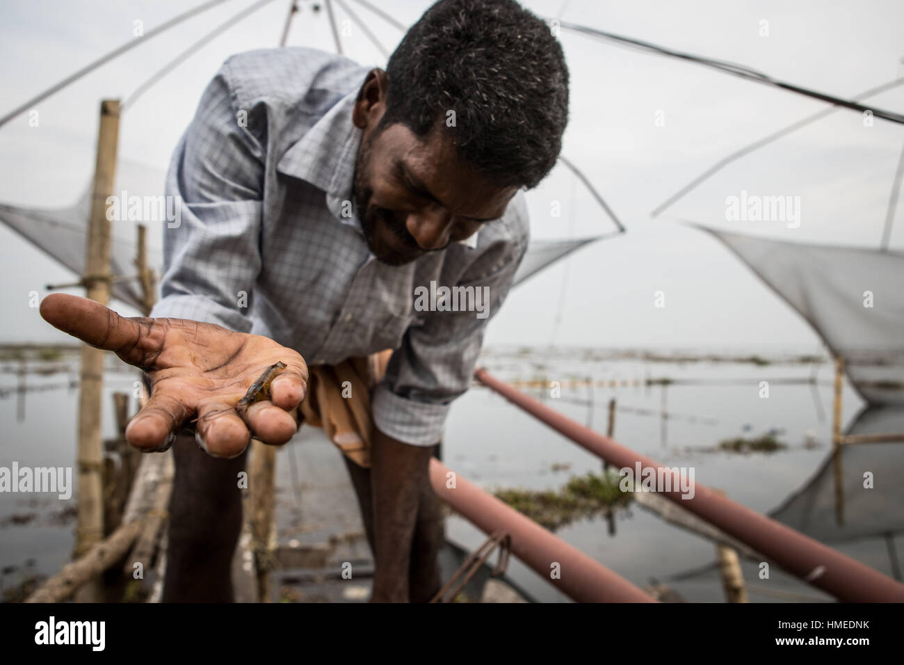 Life in The Backwaters, Kerala, India Stock Photo - Alamy