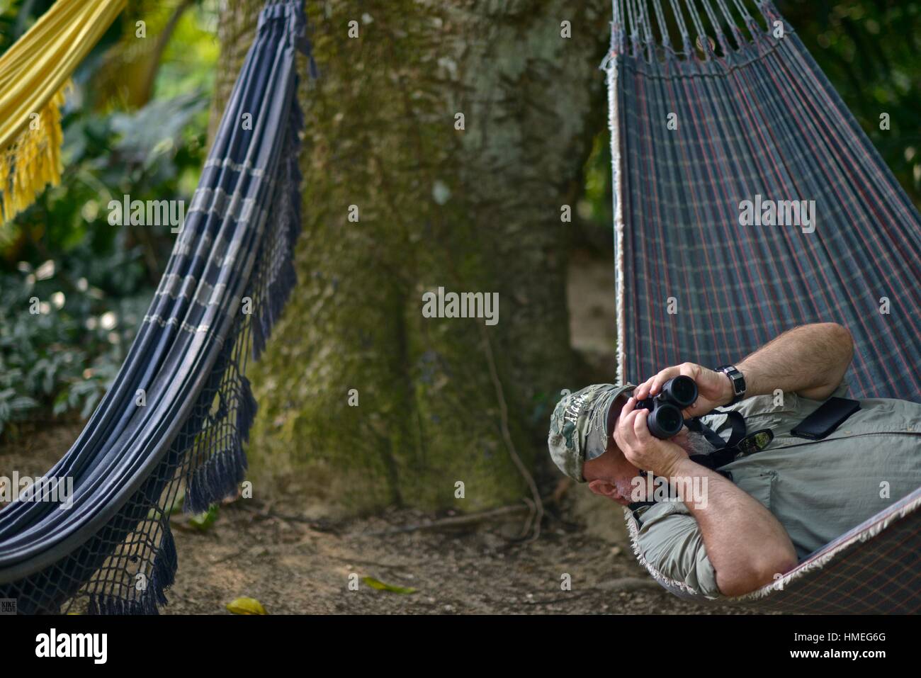 Man looking at birds using a binocular Stock Photo - Alamy