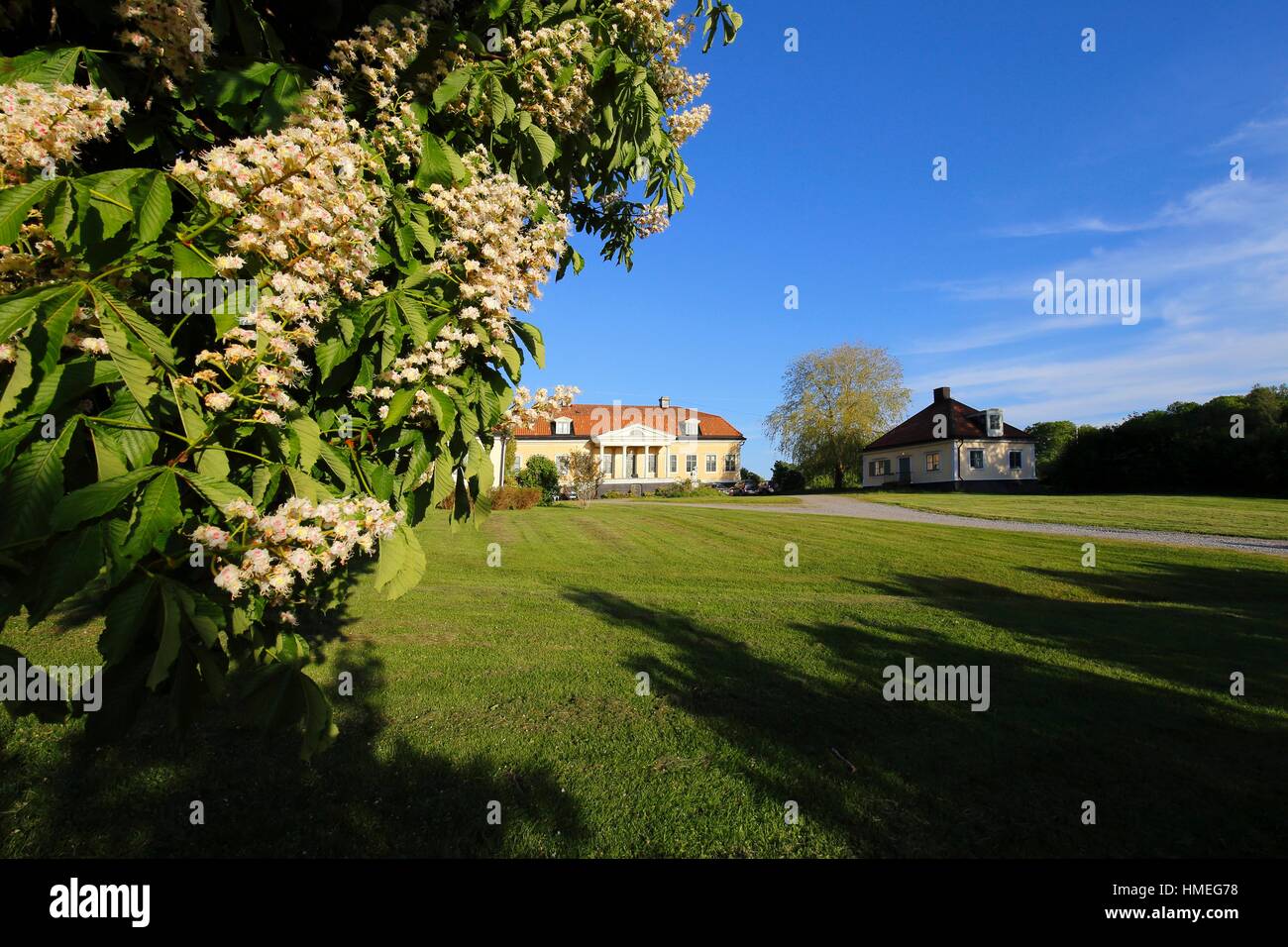 Chestnut tree house hi-res stock photography and images - Alamy