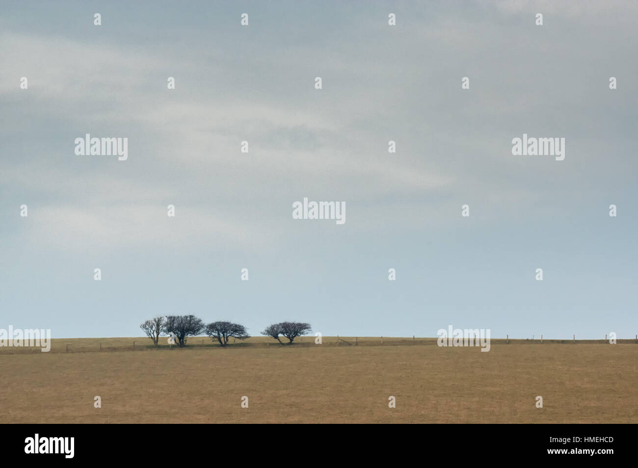 Westmeston High Resolution Stock Photography and Images - Alamy