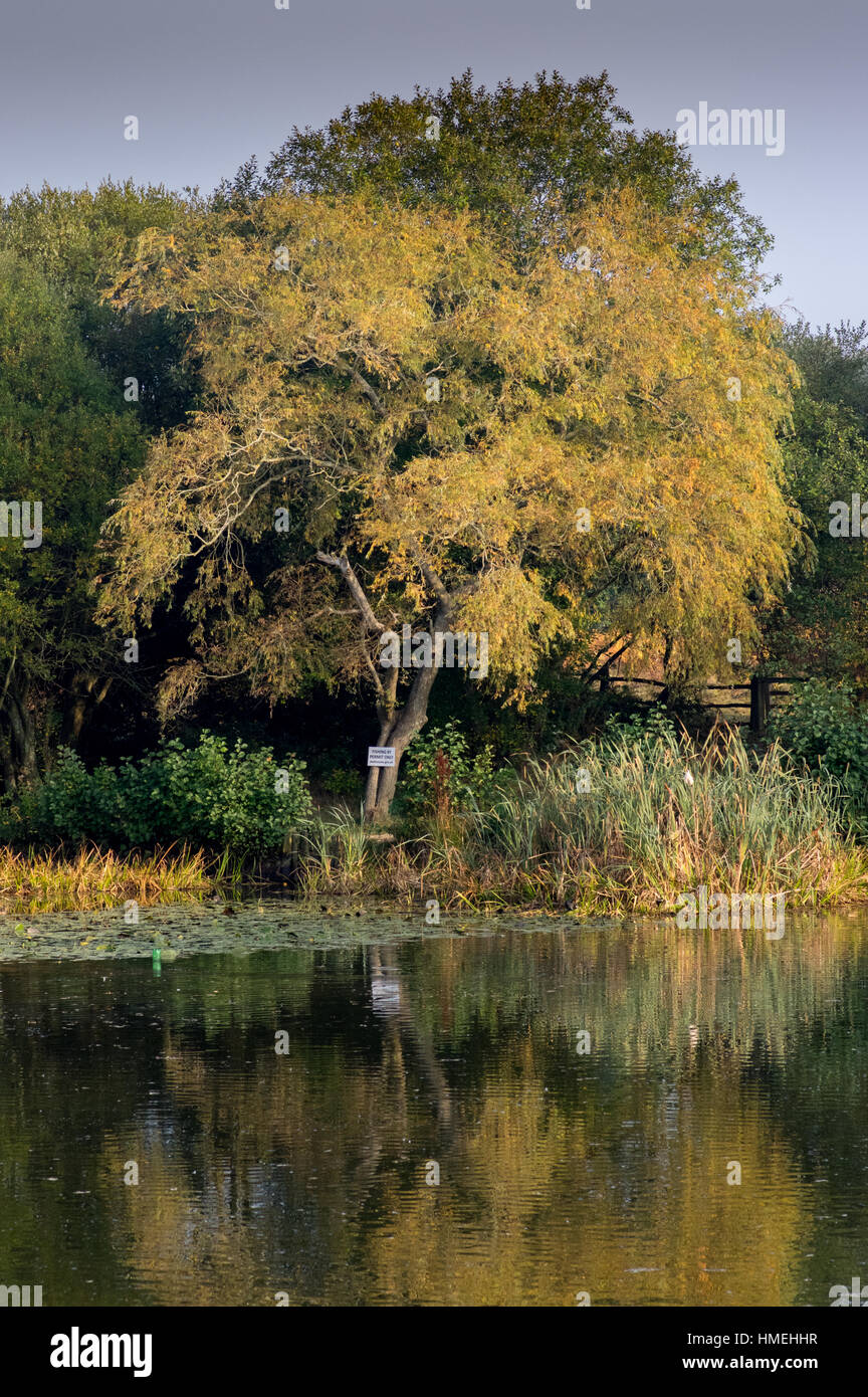 Ditchling common hi-res stock photography and images - Alamy