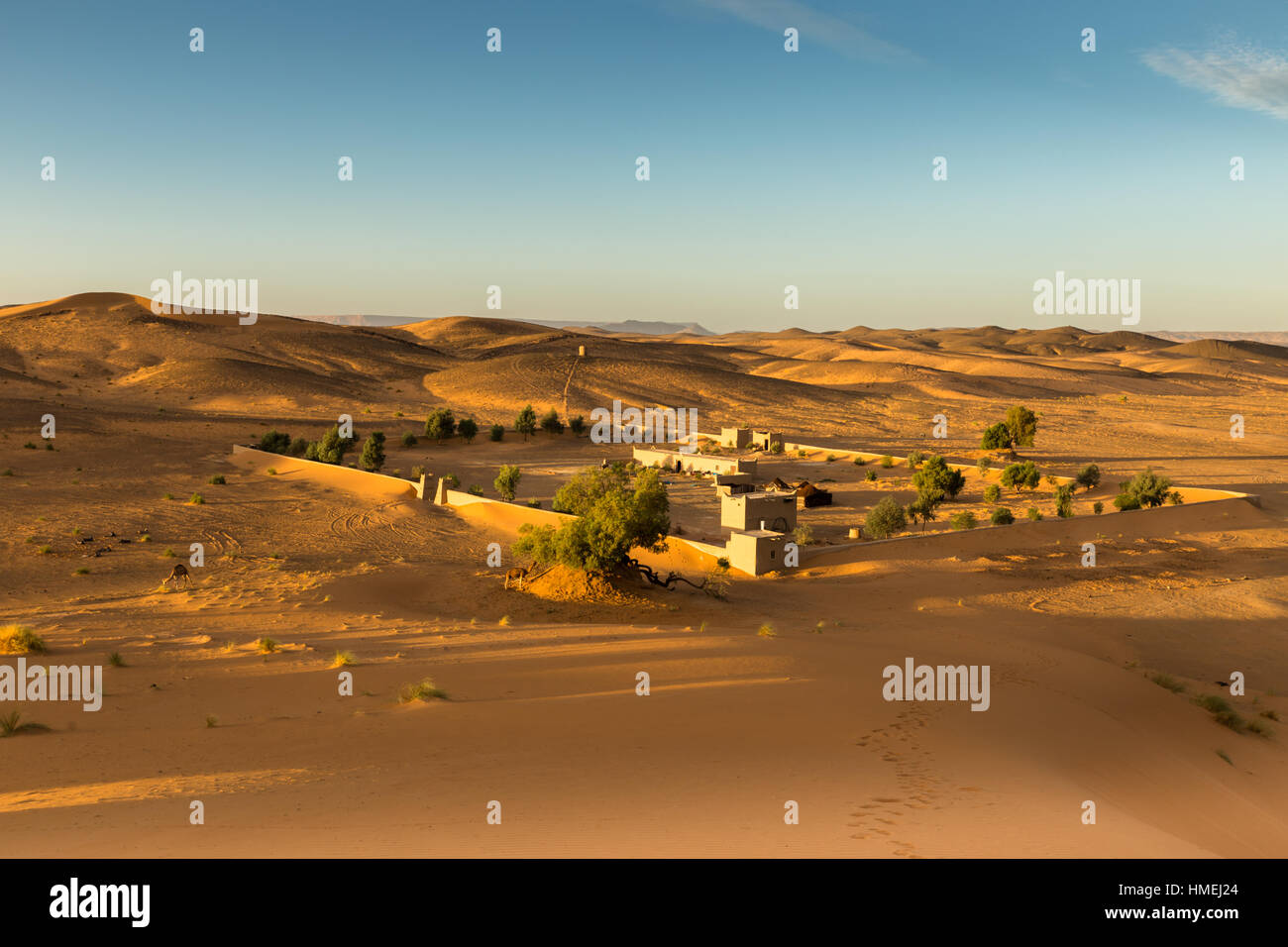 The berber camp in Sahara desert, Morocco Stock Photo - Alamy