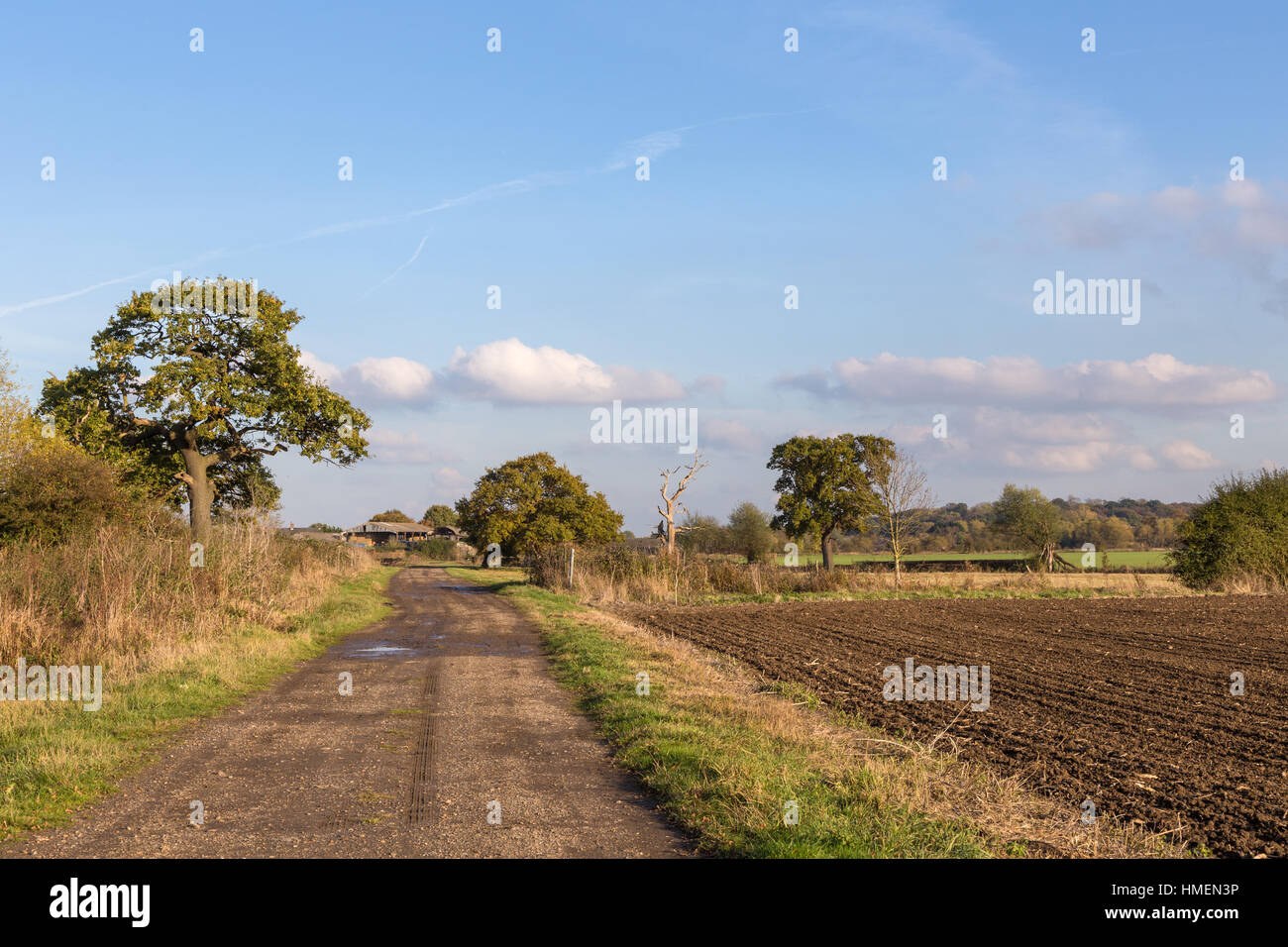 Farm track along side a ploughed field with trees and blue sky with ...