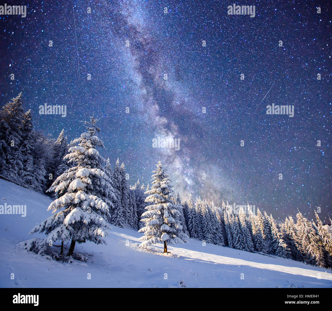 magic tree in starry winter night Stock Photo - Alamy