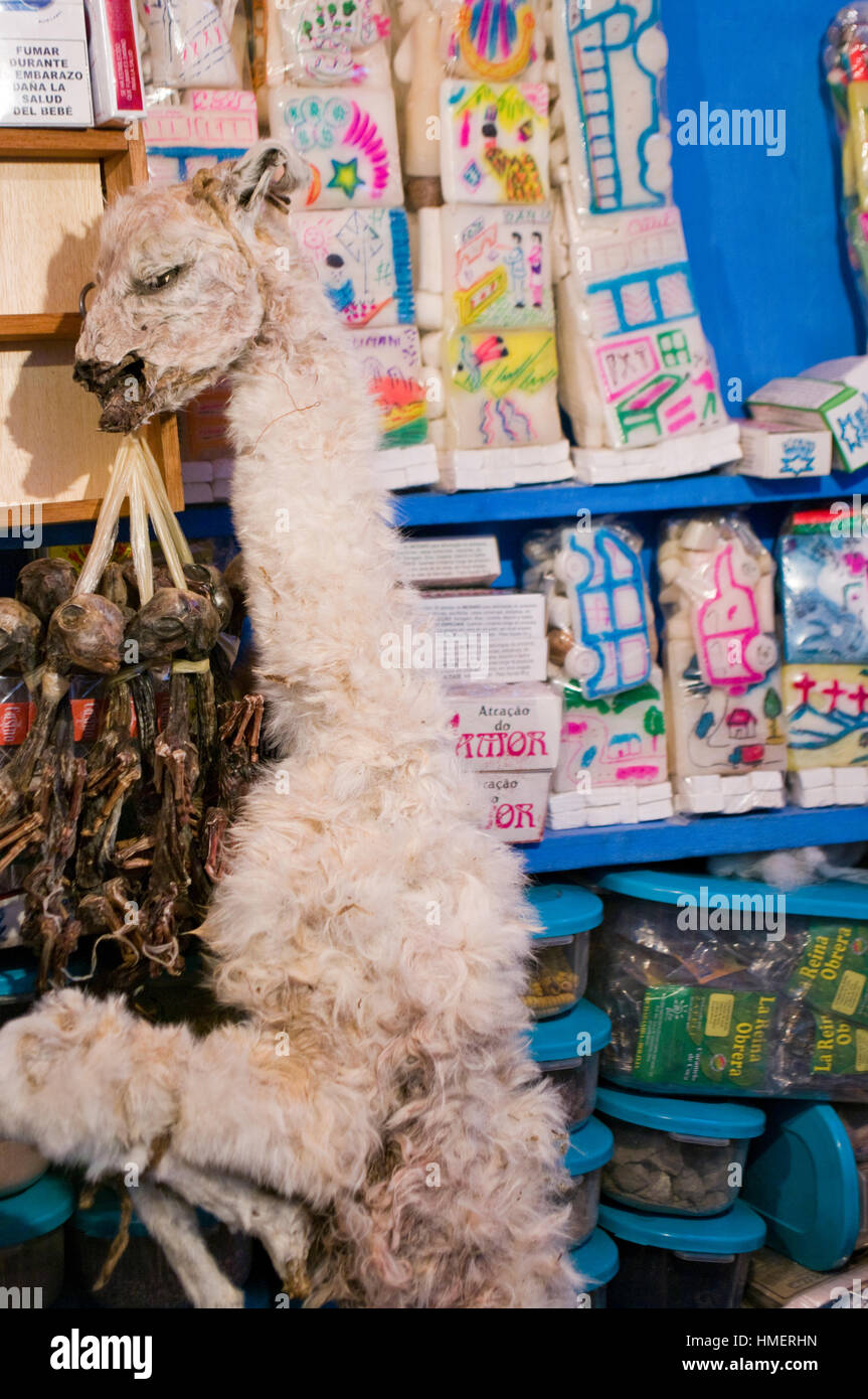Dried llama fetuses display in a chiflera shop in the Witches Market in ...