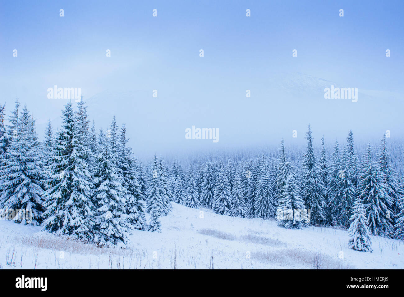 wonderful winter landscape Stock Photo - Alamy