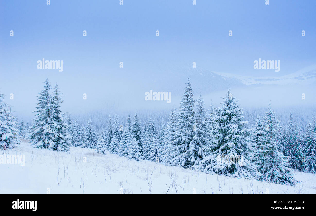 wonderful winter landscape Stock Photo - Alamy