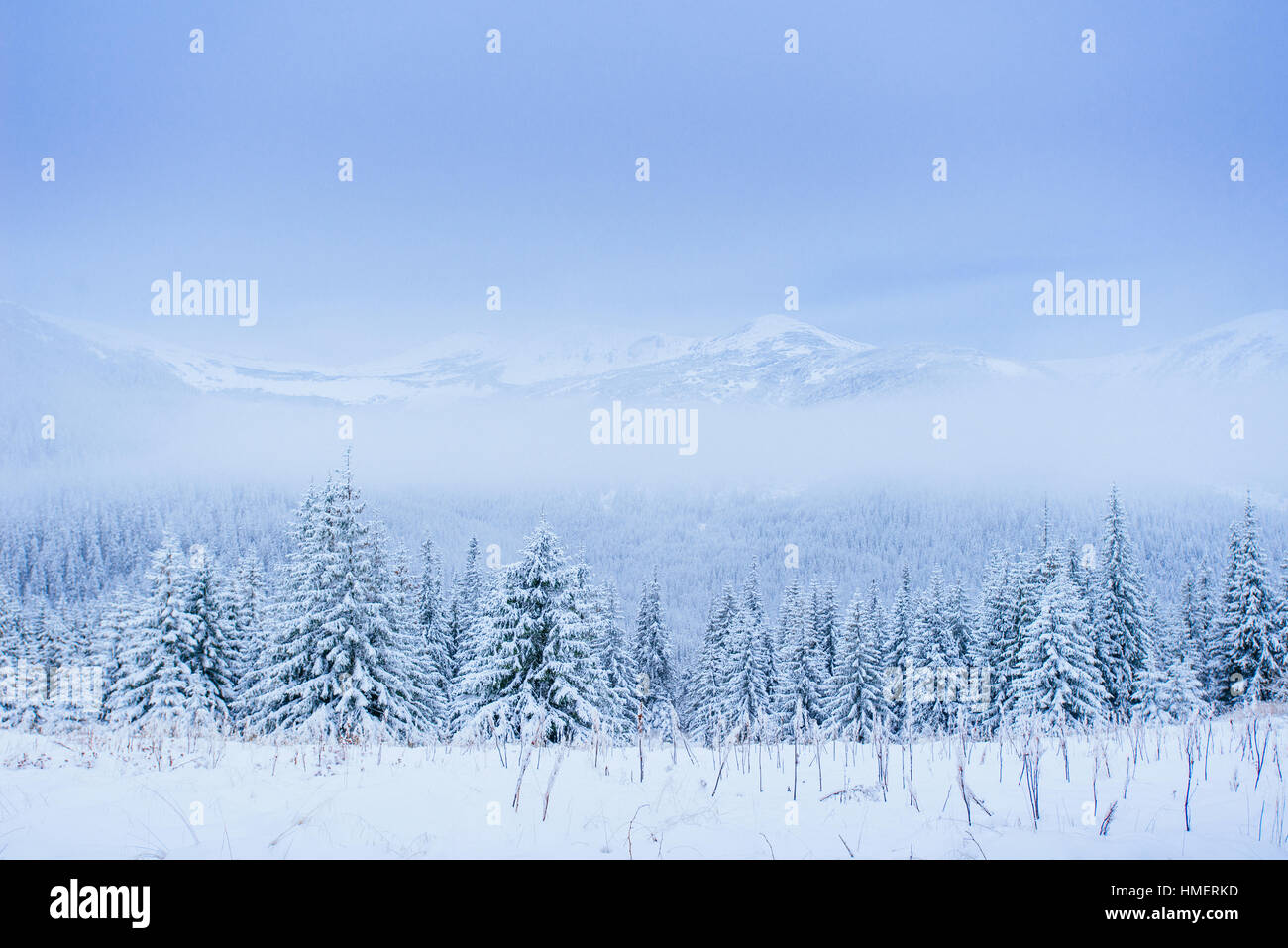 wonderful winter landscape Stock Photo - Alamy