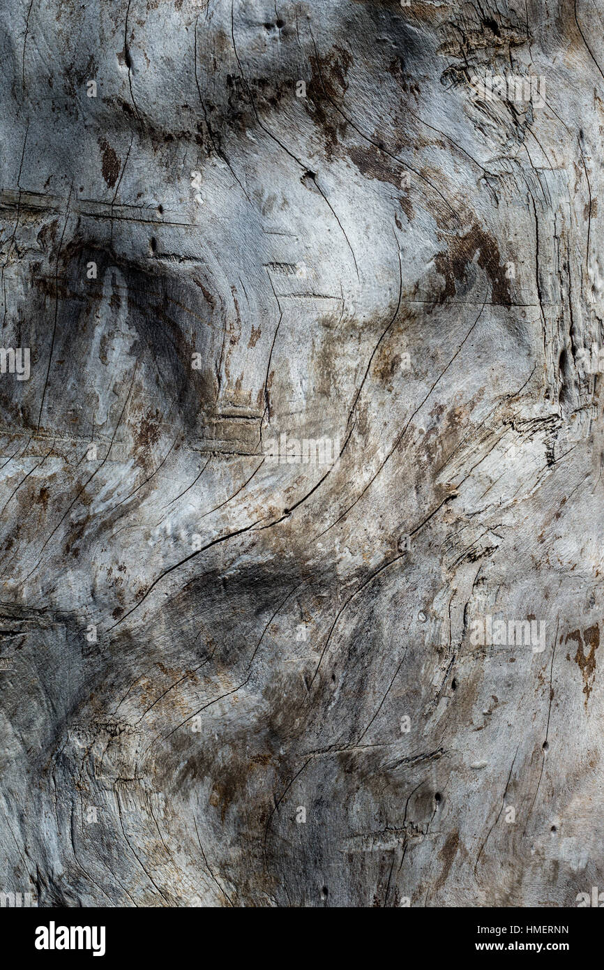 natural wood grain texture Stock Photo - Alamy