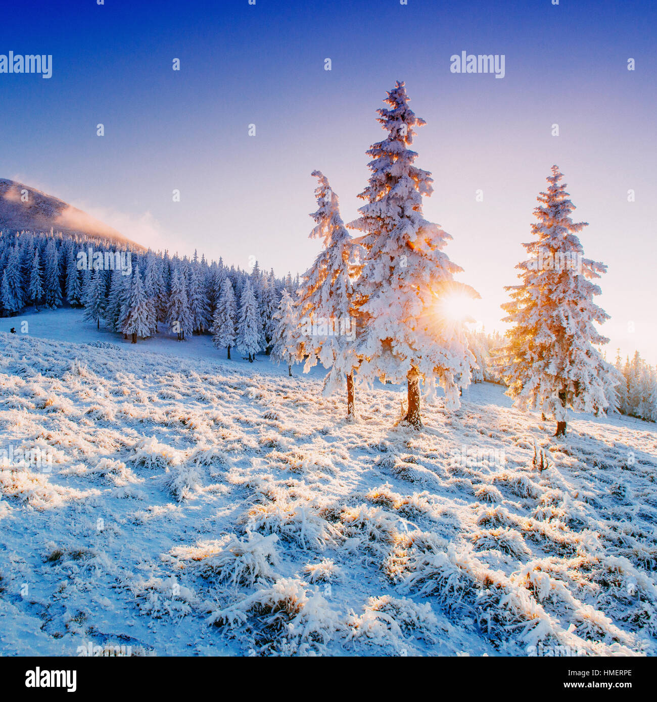 sunny winter landscape Stock Photo - Alamy
