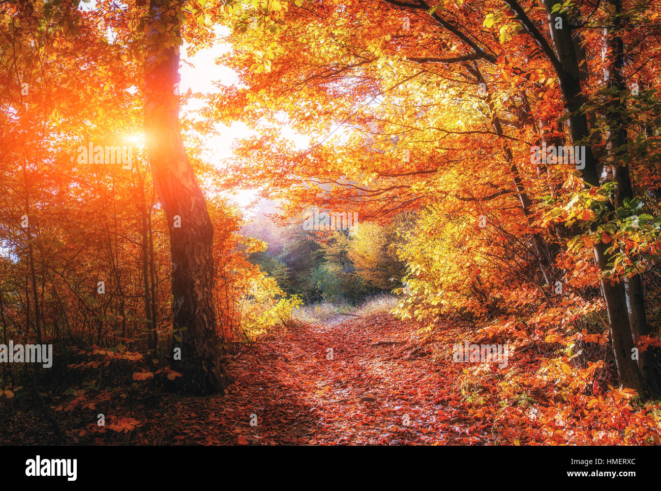 Scenic Autumn Landscape Stock Photo - Alamy