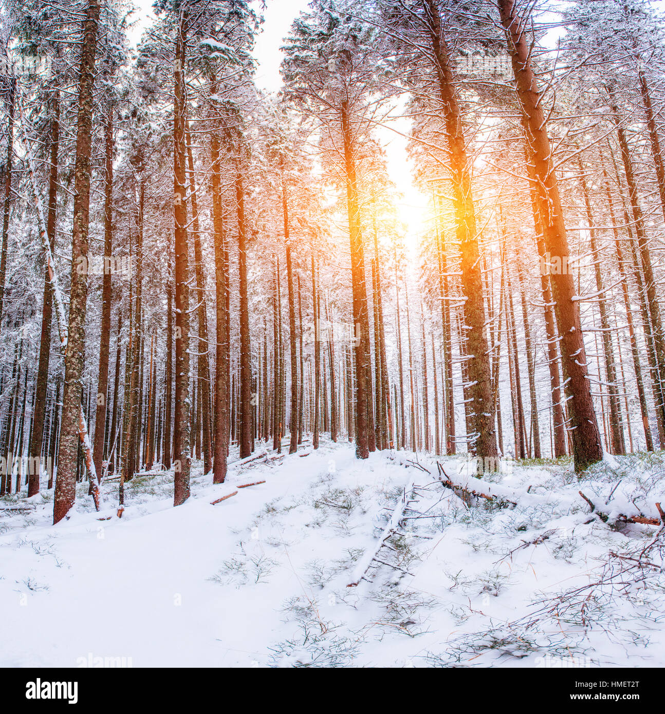 sunny winter landscape Stock Photo - Alamy