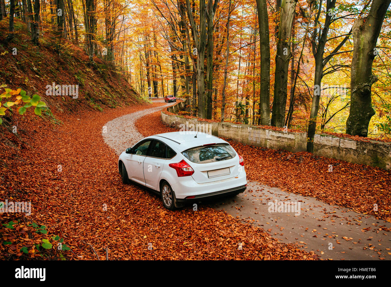 car on a forest path Stock Photo - Alamy