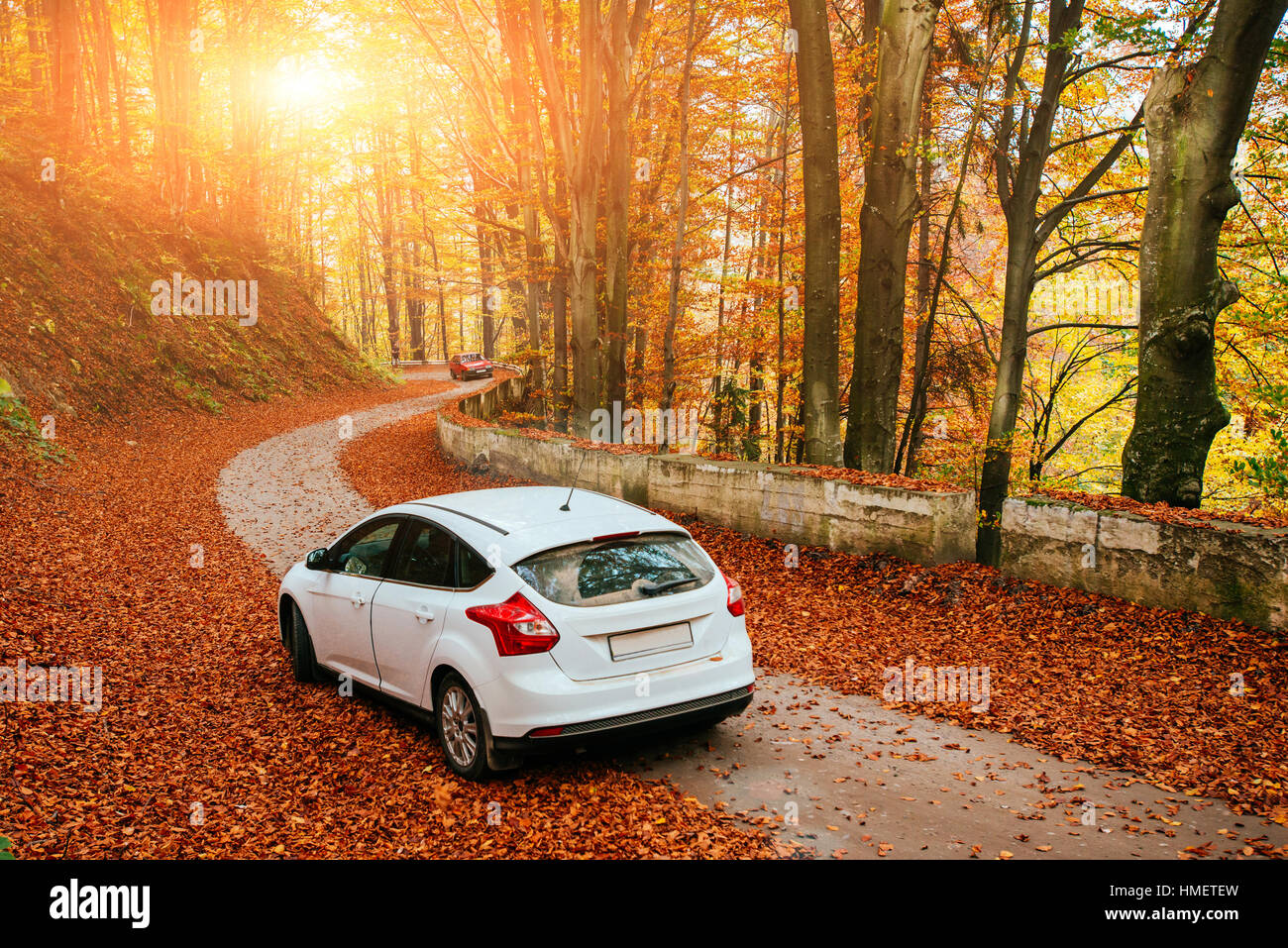 car on a forest path Stock Photo - Alamy