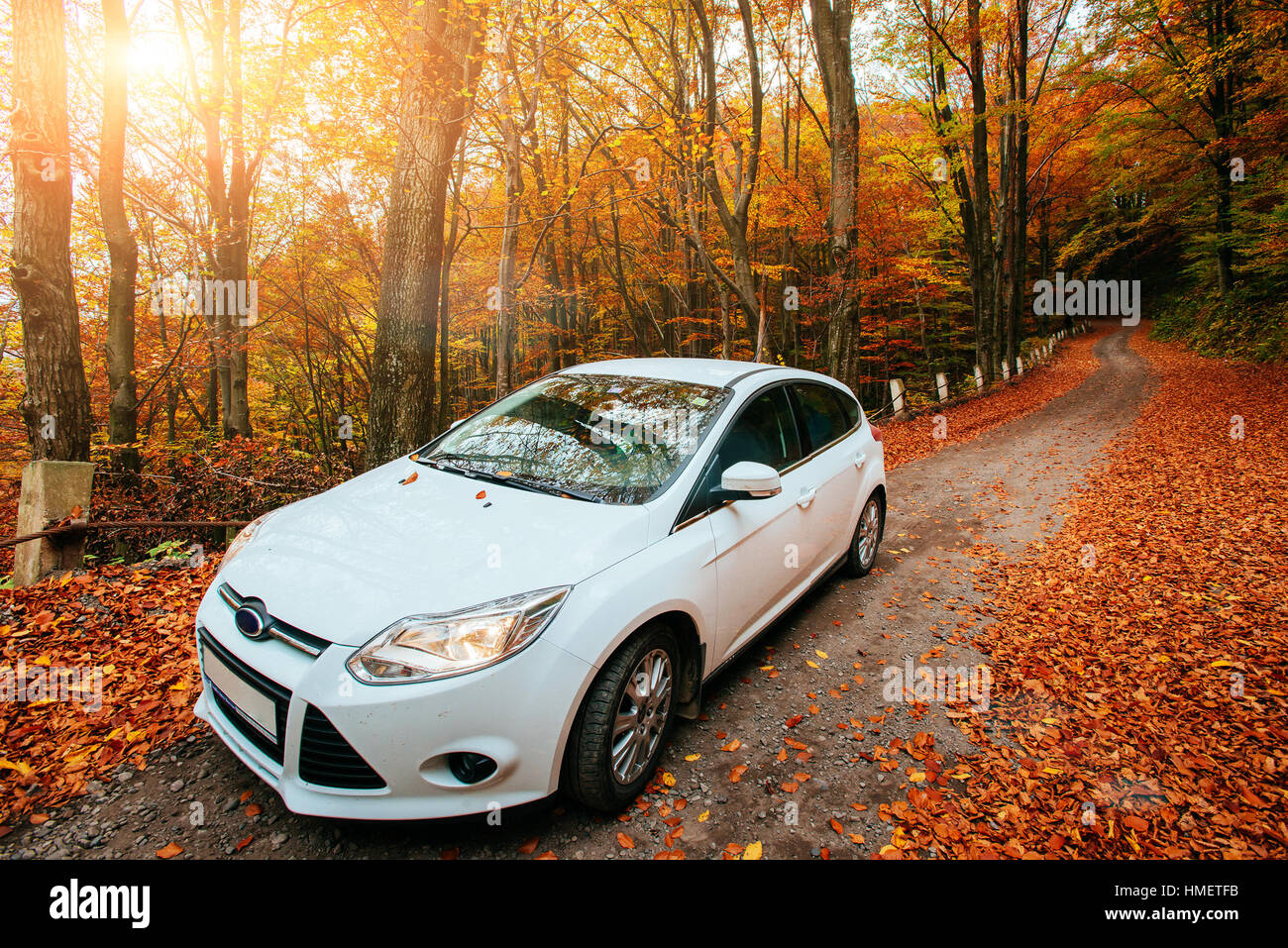 car on a forest path Stock Photo - Alamy