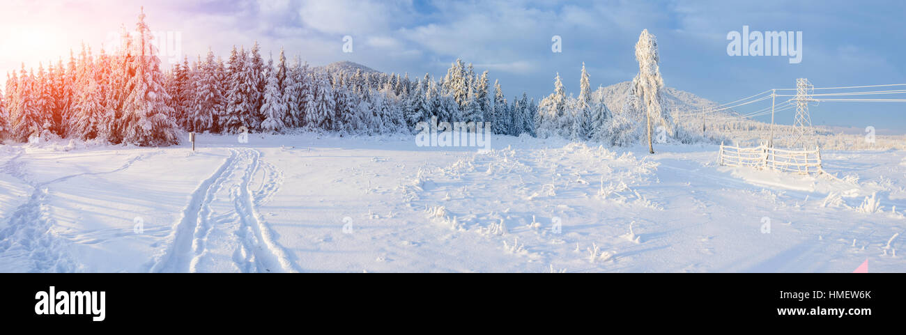 winter landscape trees in frost Stock Photo - Alamy
