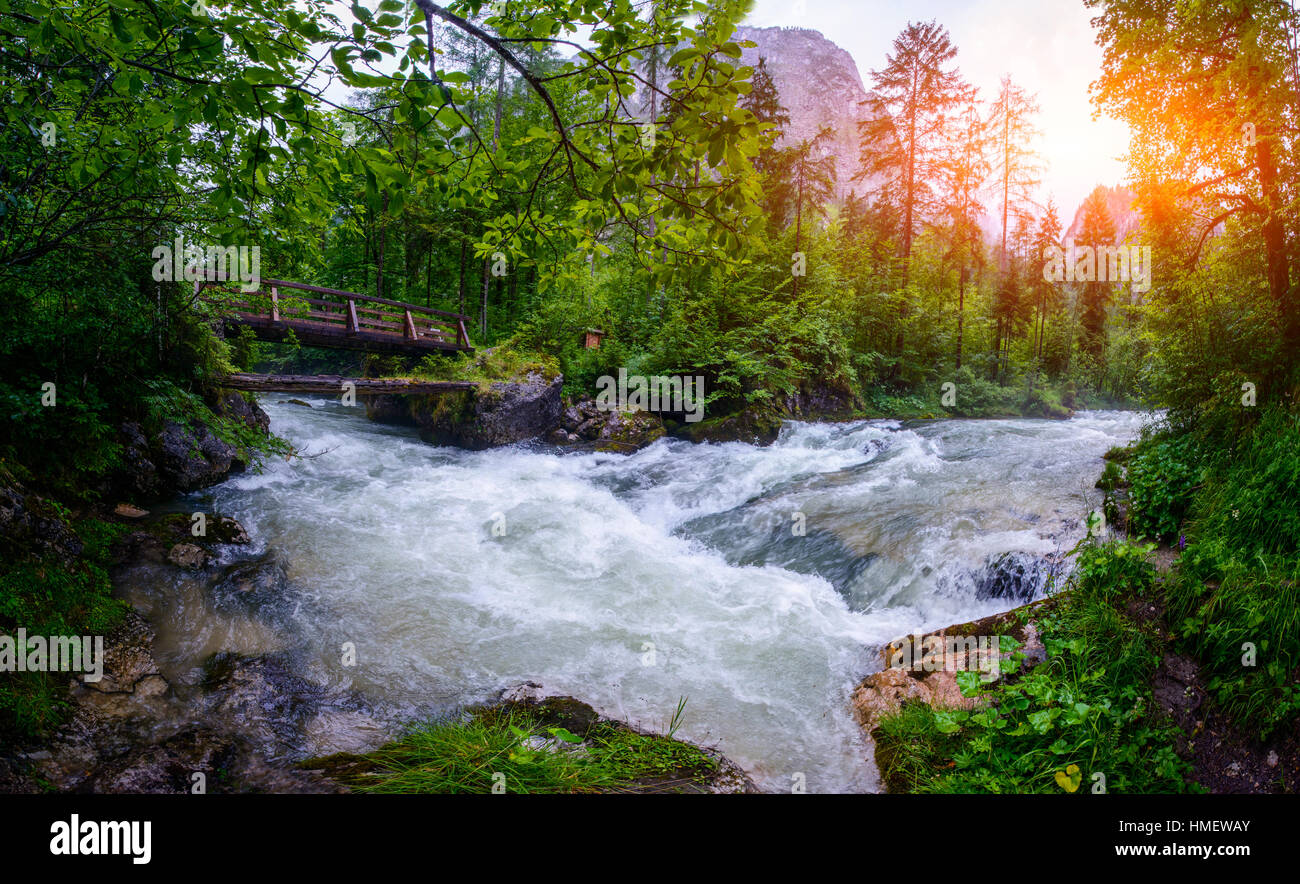 fast river in the forest Stock Photo - Alamy