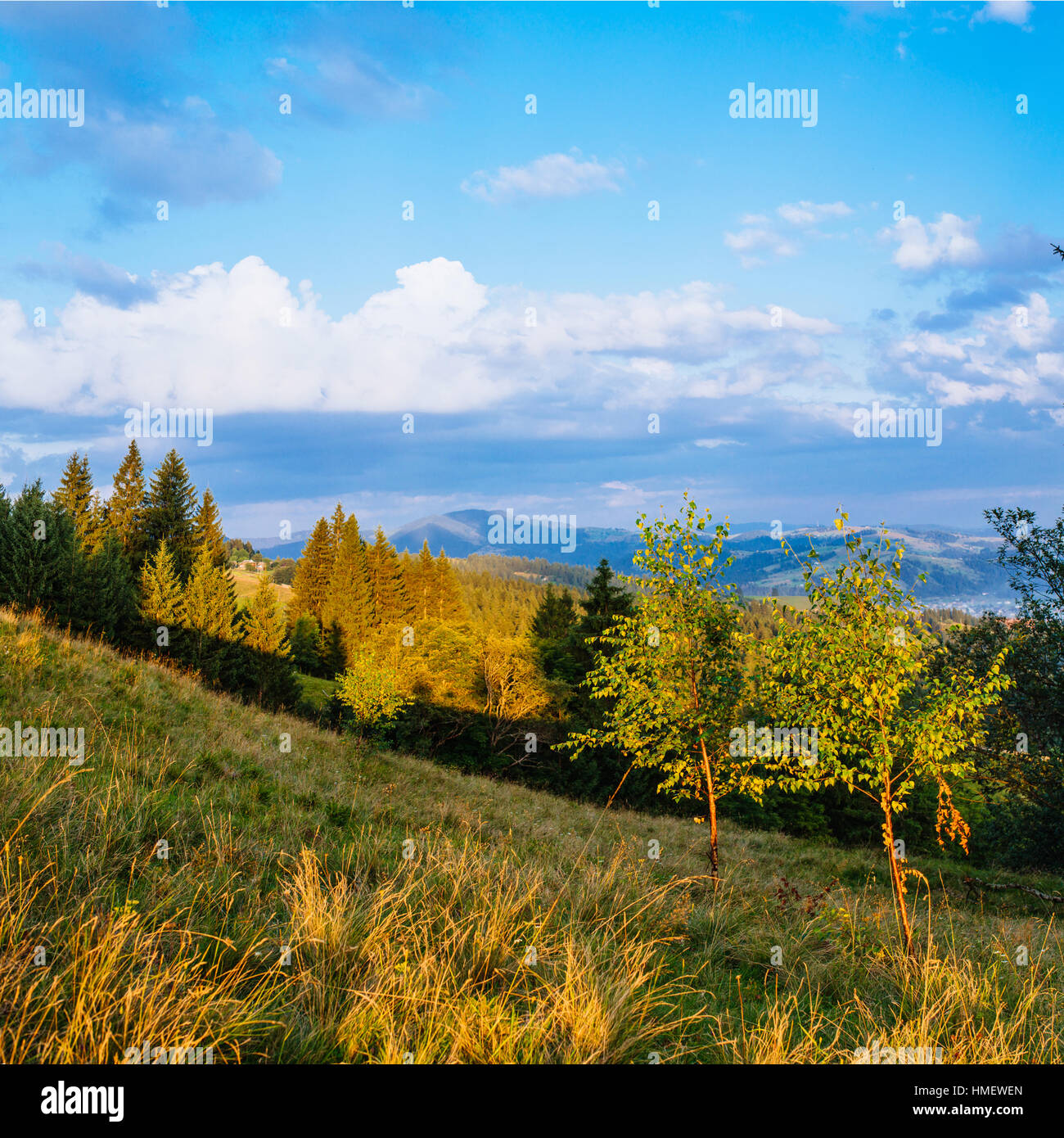 Colorful summer landscape Stock Photo - Alamy