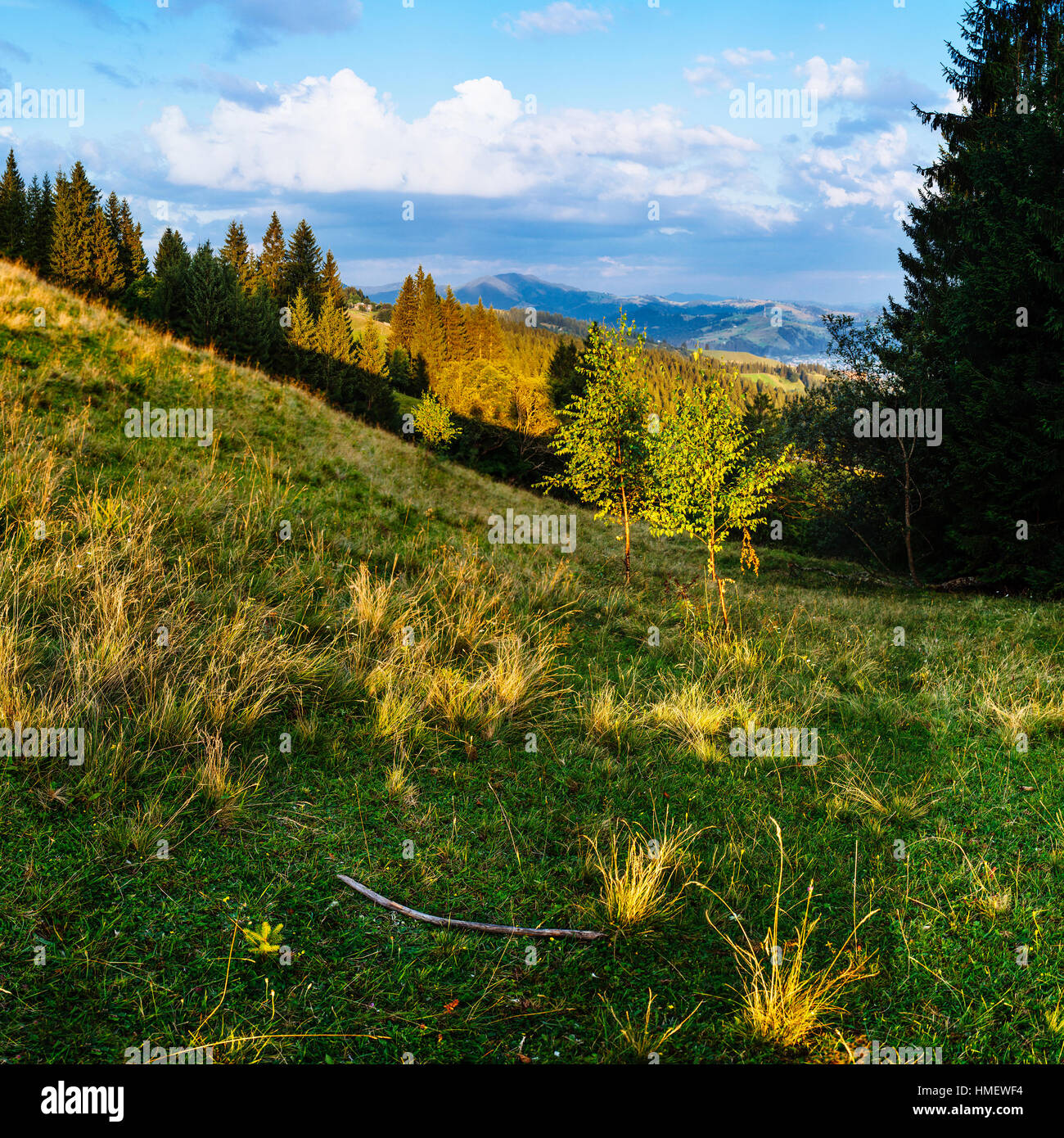 Colorful summer landscape Stock Photo - Alamy