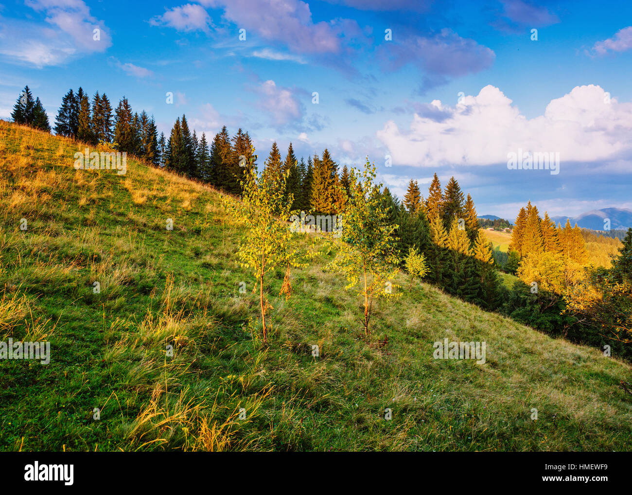 Colorful summer landscape Stock Photo - Alamy