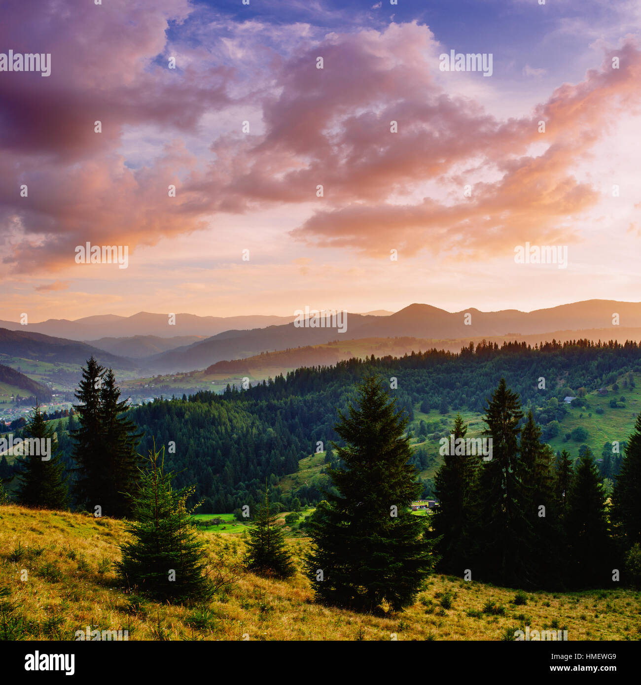 Colorful summer landscape Stock Photo - Alamy
