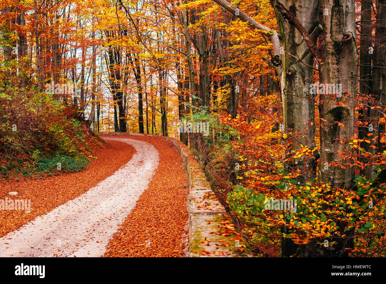 Scenic Autumn Landscape Stock Photo - Alamy