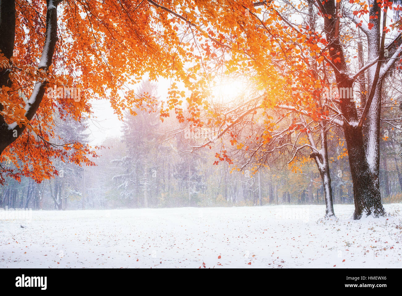 first days of winter Stock Photo - Alamy