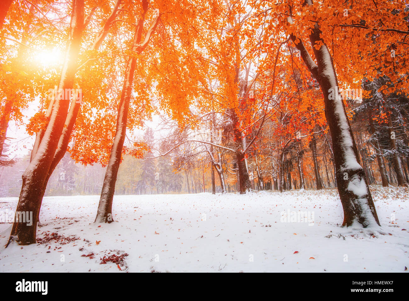 first days of winter Stock Photo - Alamy