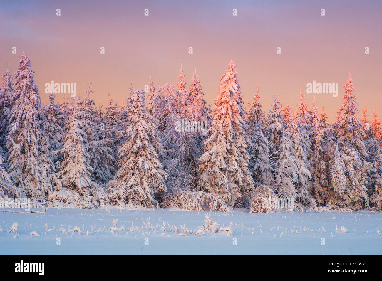 winter landscape trees in snow Stock Photo - Alamy