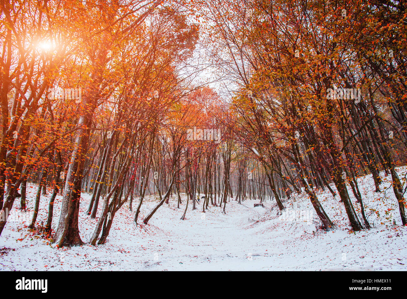 first days of winter Stock Photo - Alamy