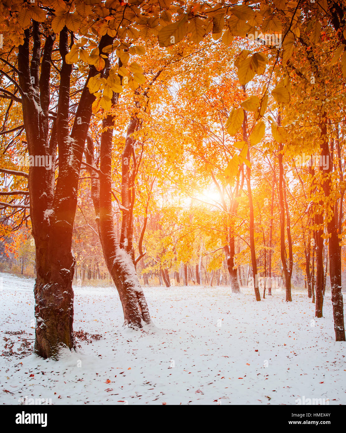 First Snow Fall High Resolution Stock Photography and Images - Alamy