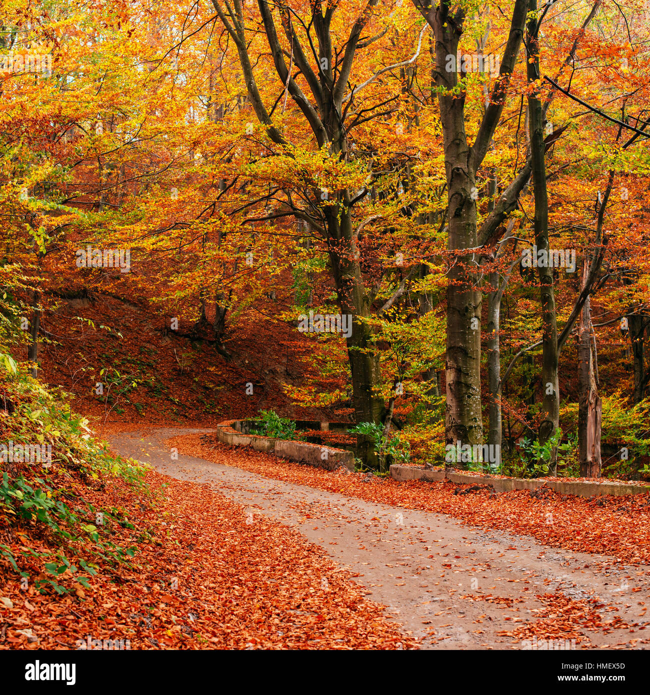 Scenic Autumn Landscape Stock Photo - Alamy