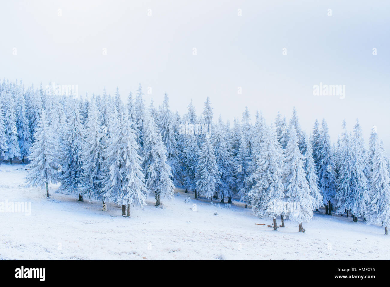 wonderful winter landscape Stock Photo - Alamy