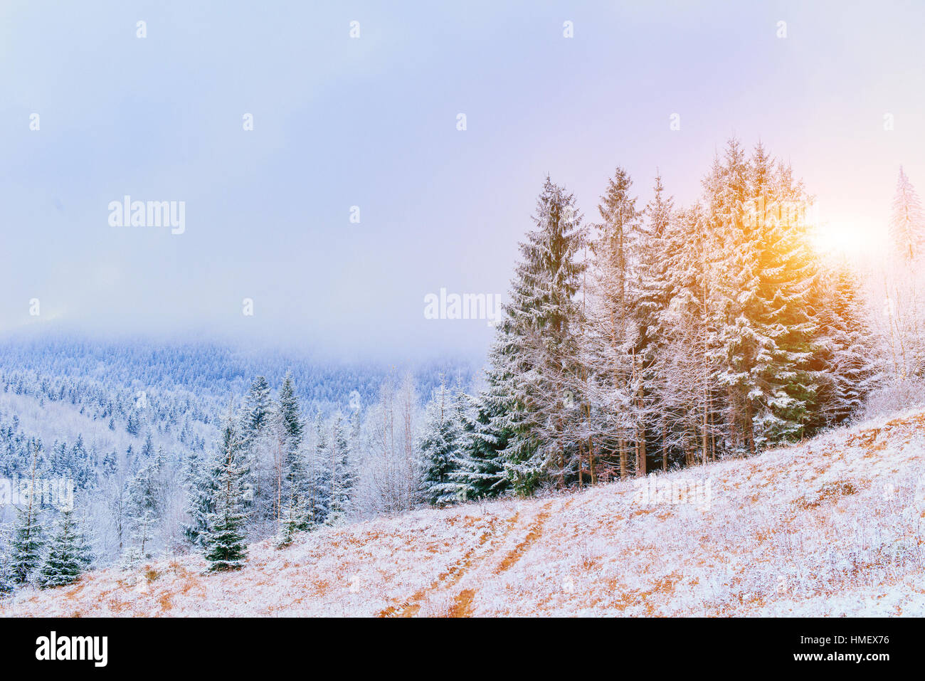 winter landscape trees in frost Stock Photo - Alamy
