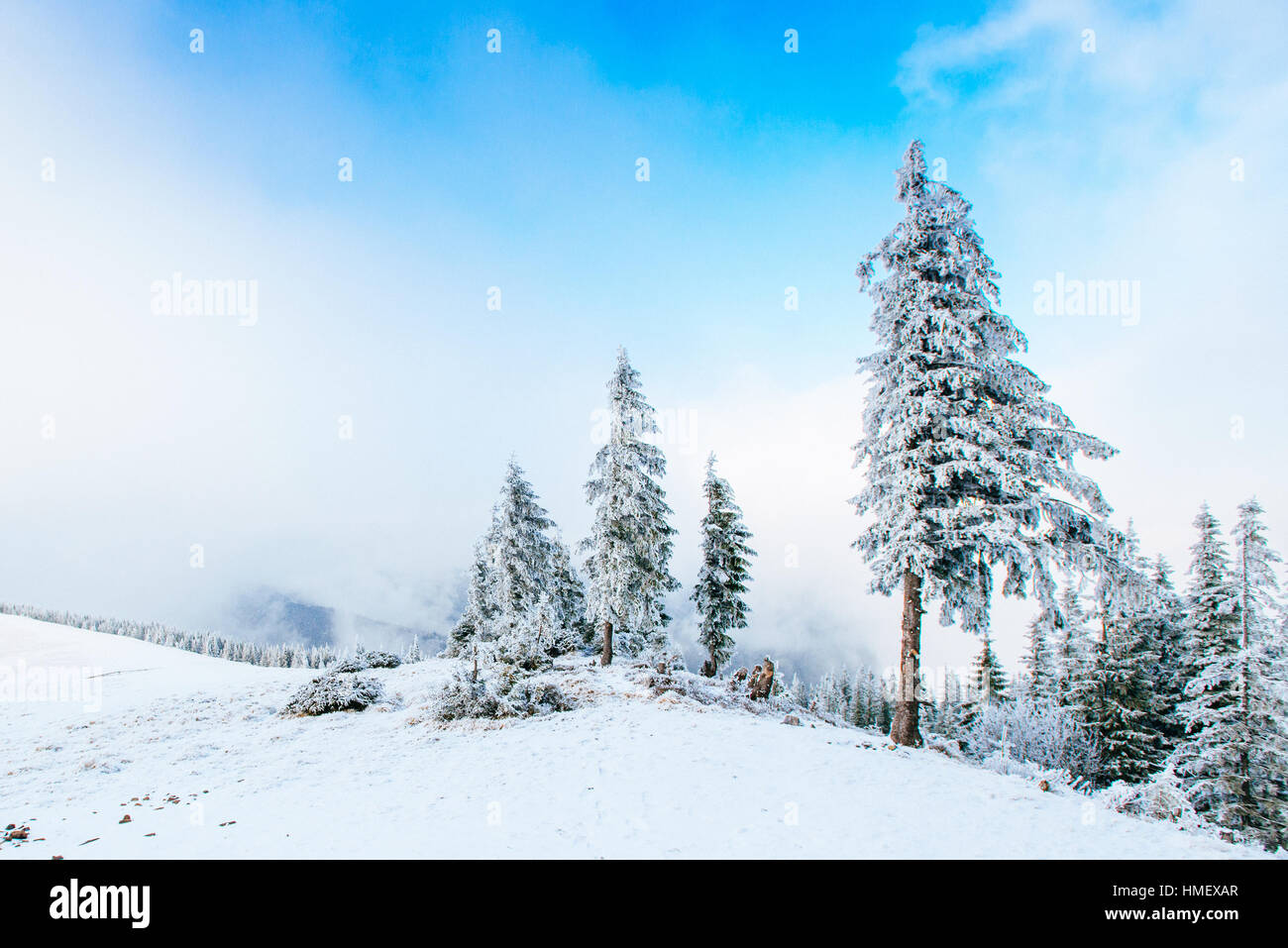 wonderful winter landscape Stock Photo - Alamy