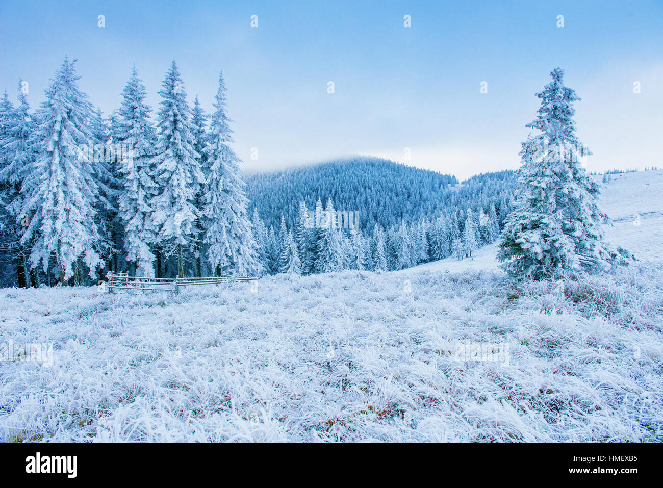 frost in winter mountains Stock Photo - Alamy