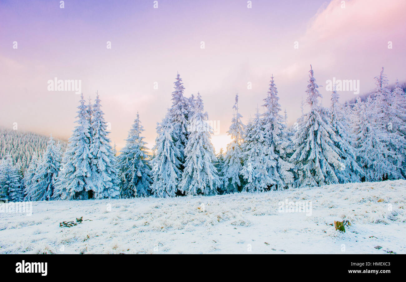 fabulous winter landscape Stock Photo - Alamy