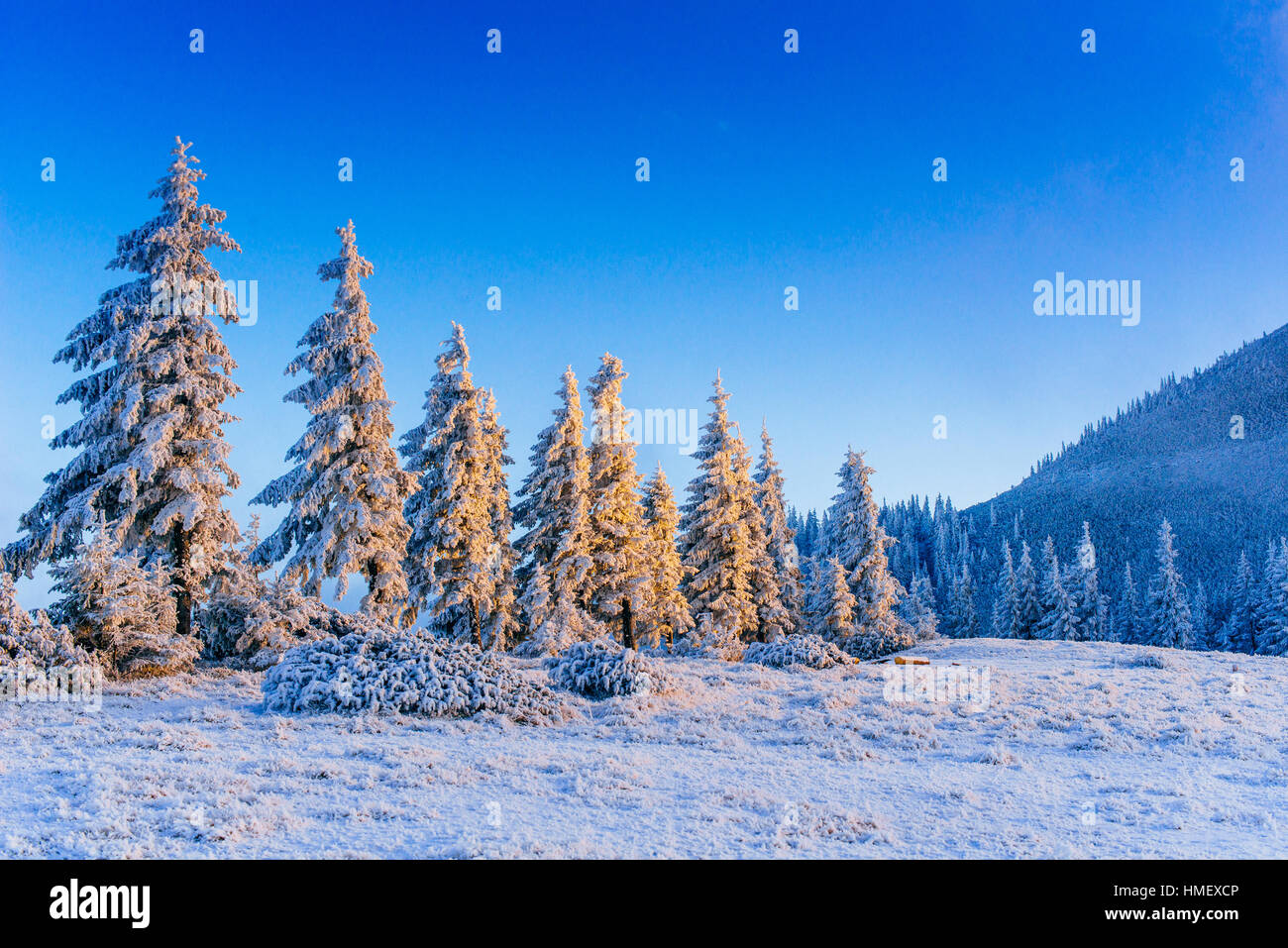 fabulous winter landscape Stock Photo - Alamy