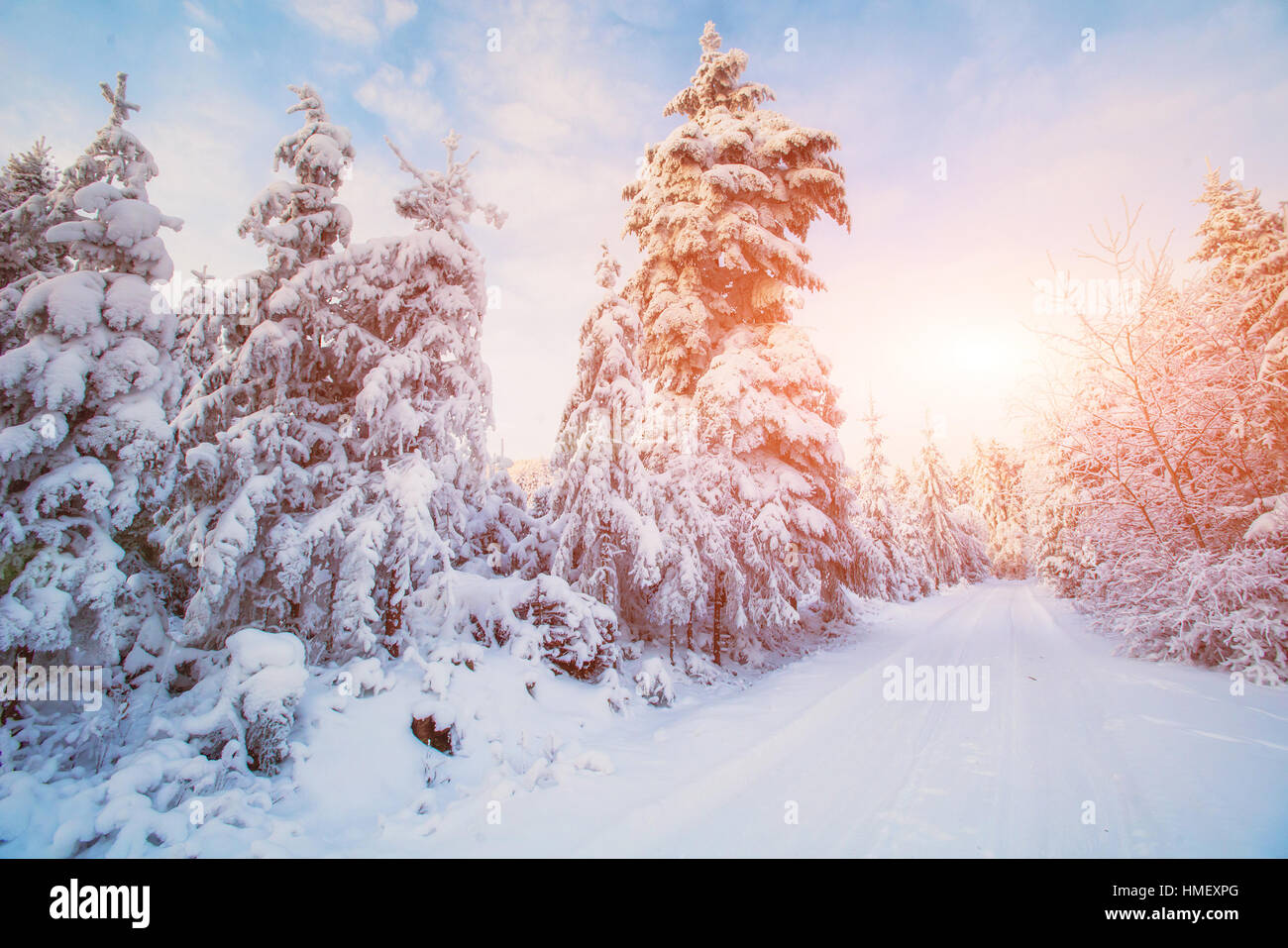winter landscape trees in frost Stock Photo - Alamy