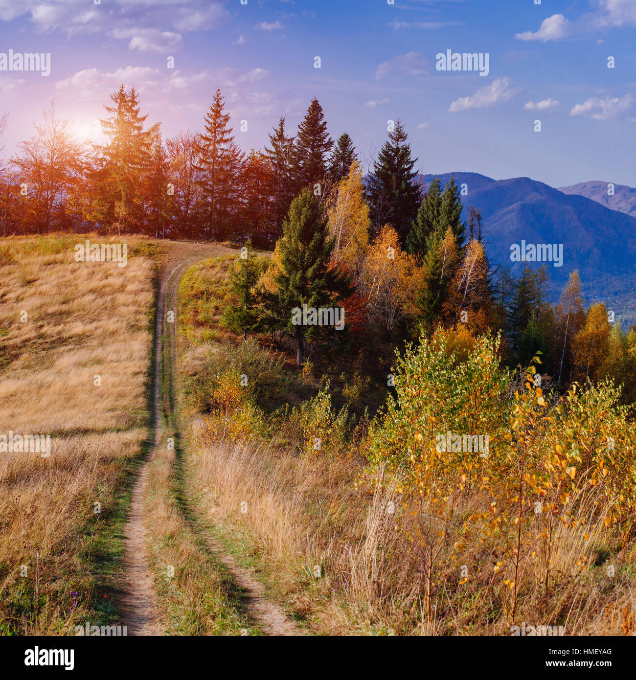 rock massif in the Carpathians Stock Photo - Alamy