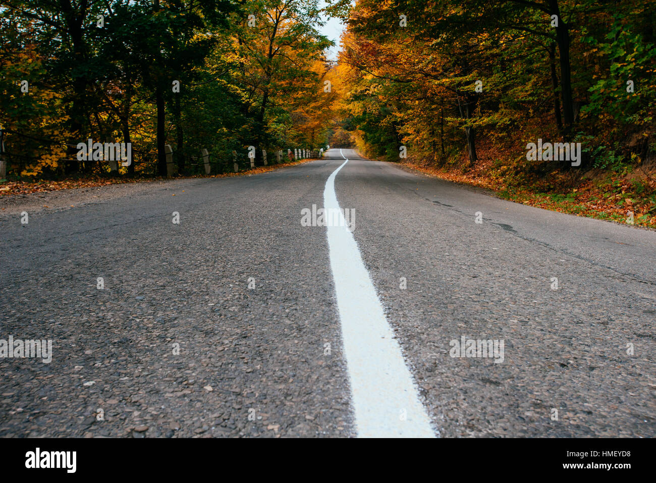 autumn road landscape Stock Photo - Alamy