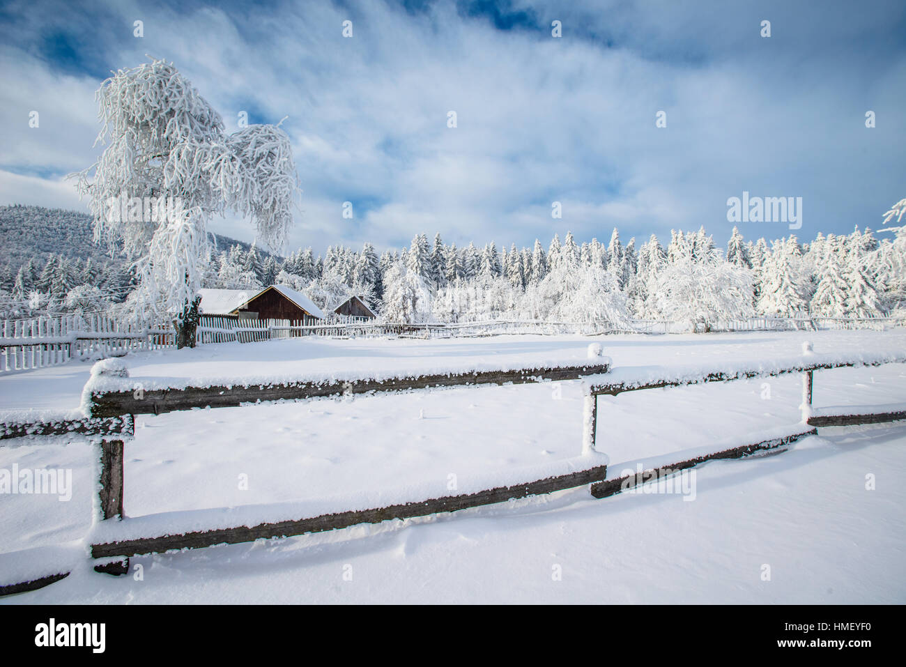 Wooden raft hi-res stock photography and images - Alamy