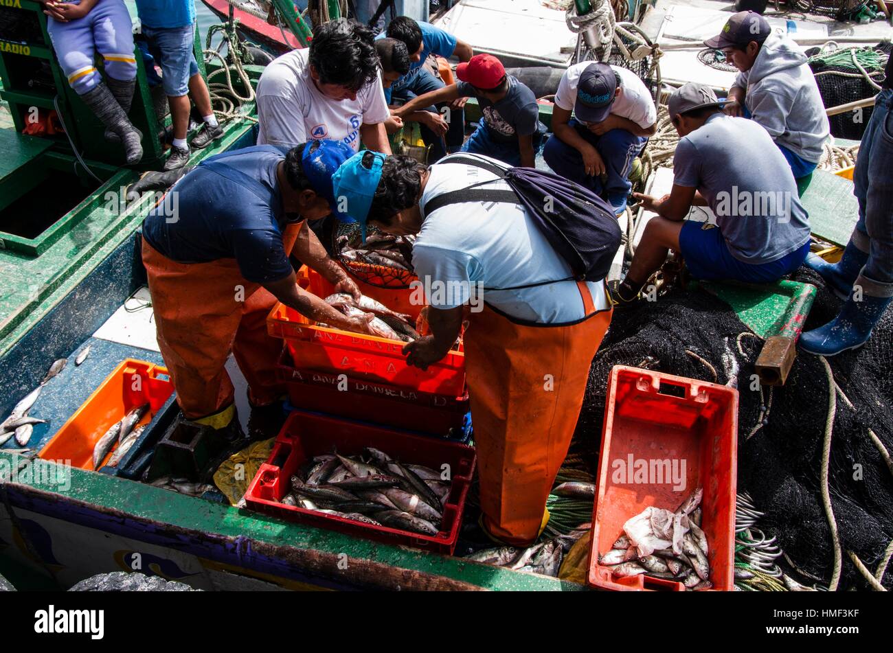 Fish department hi-res stock photography and images - Alamy