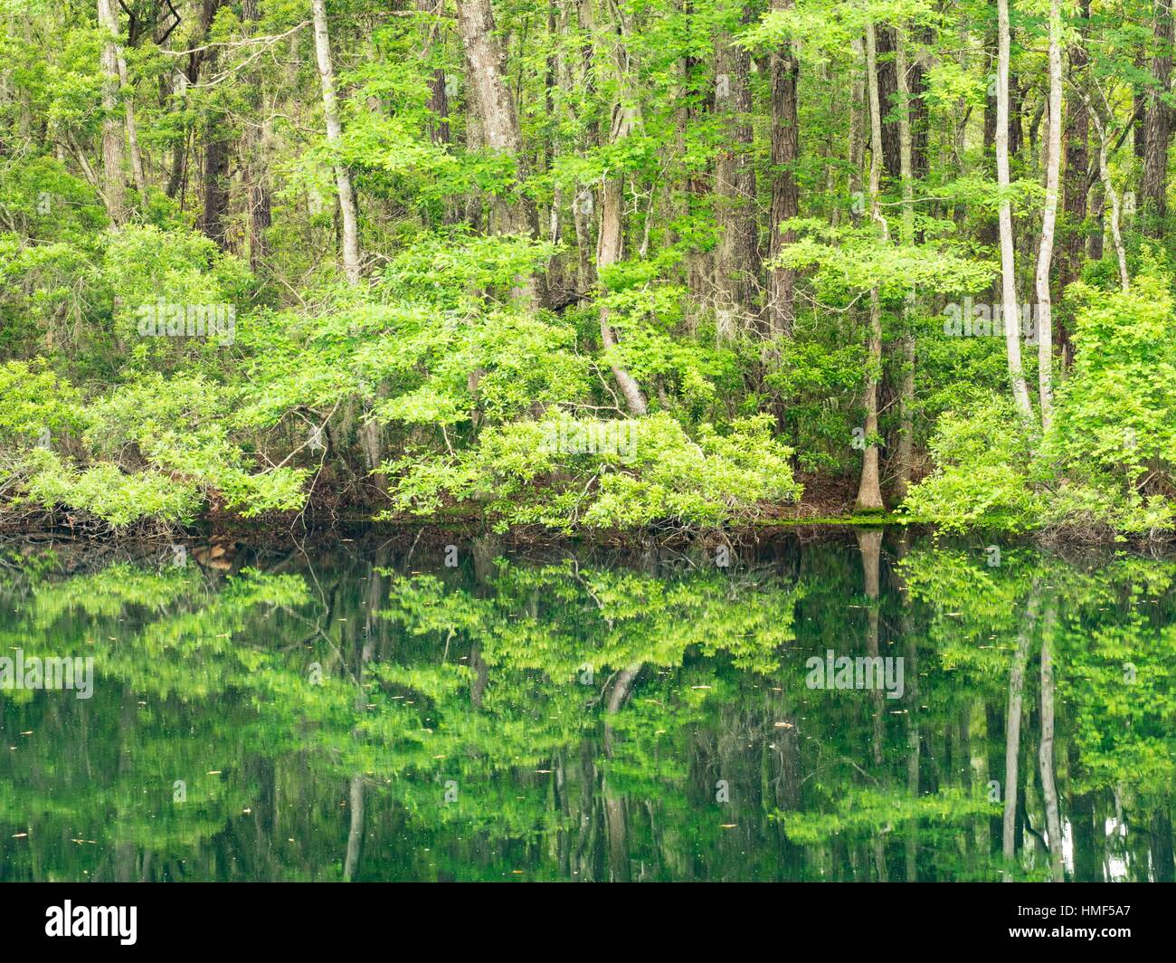 Darien, georgia usa hi-res stock photography and images - Alamy